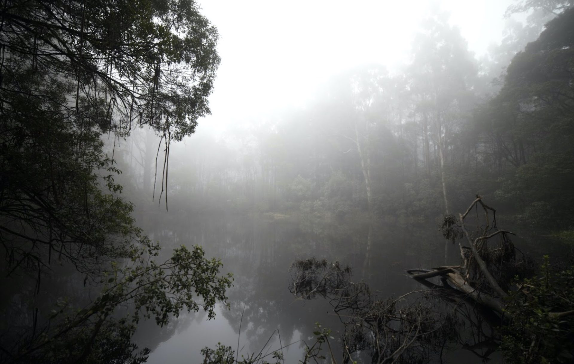 Things To Do In The Macedon Ranges | Melbourne Girl Stuff
