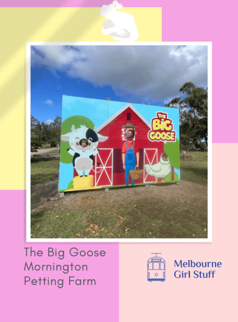 Bars and Clubs in Chapel Street Melbourne | Melbourne Girl Stuff Bars and Clubs in Chapel Street Melbourne | Melbourne Girl Stuff