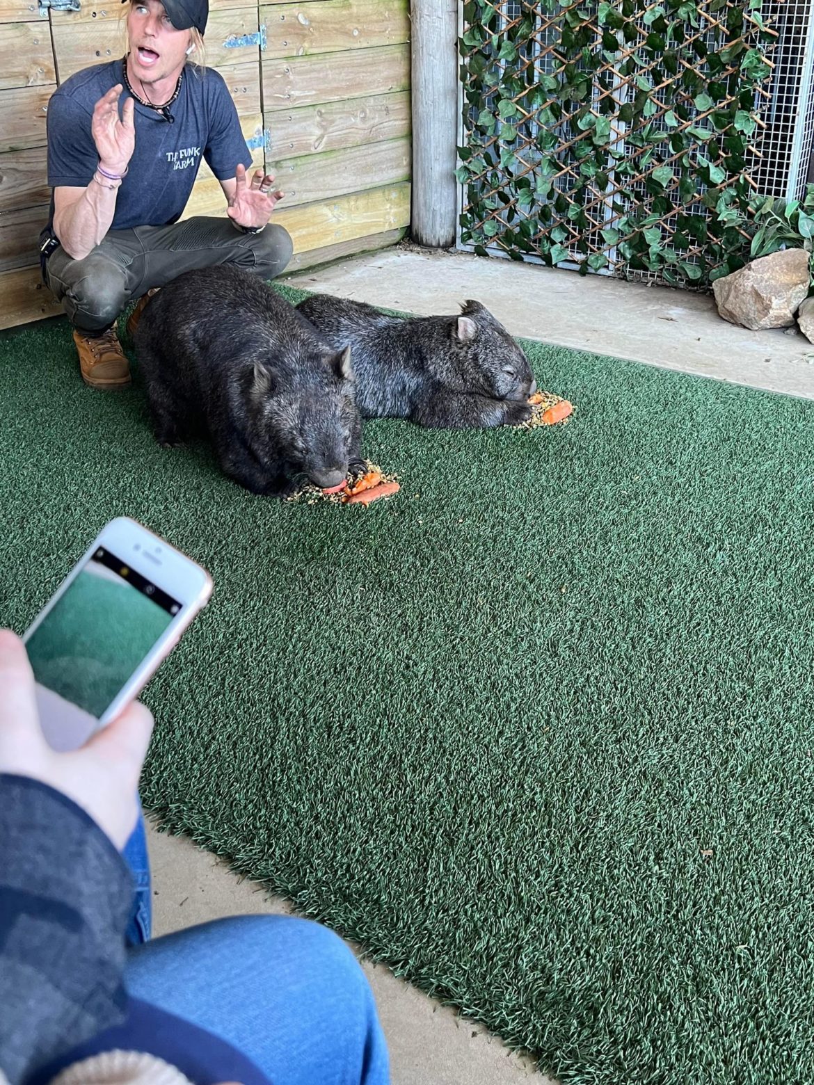 The Funky Farm, Hastings (Bookings Essential) | Melbourne Girl Stuff